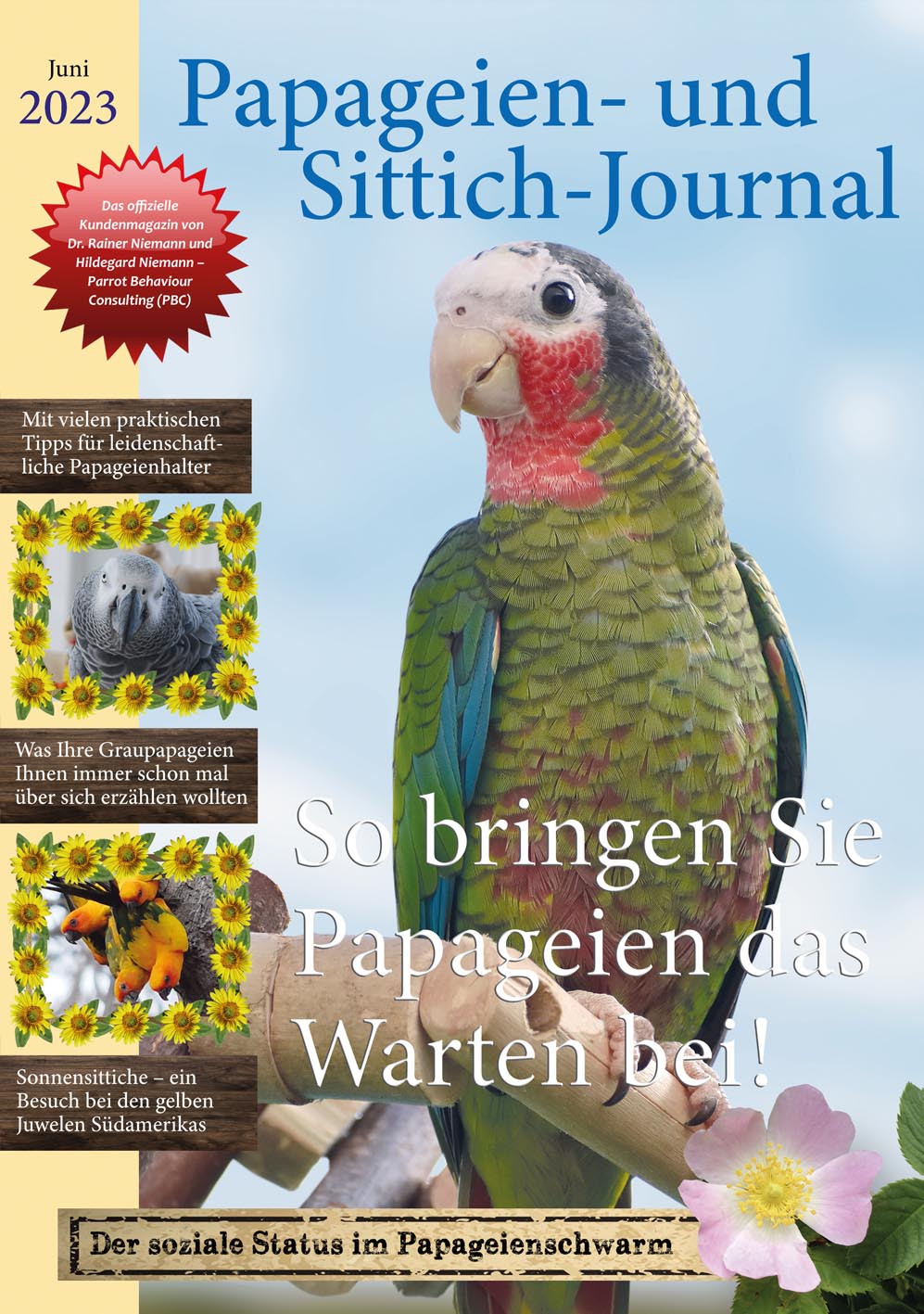 Geschlechtsbestimmung Bei Papageien Und Sittichen – XNCUC